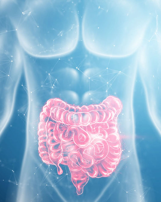 Comprehensive Gut Microbiome Lab Test for Digestive Health – Aiwo Limited